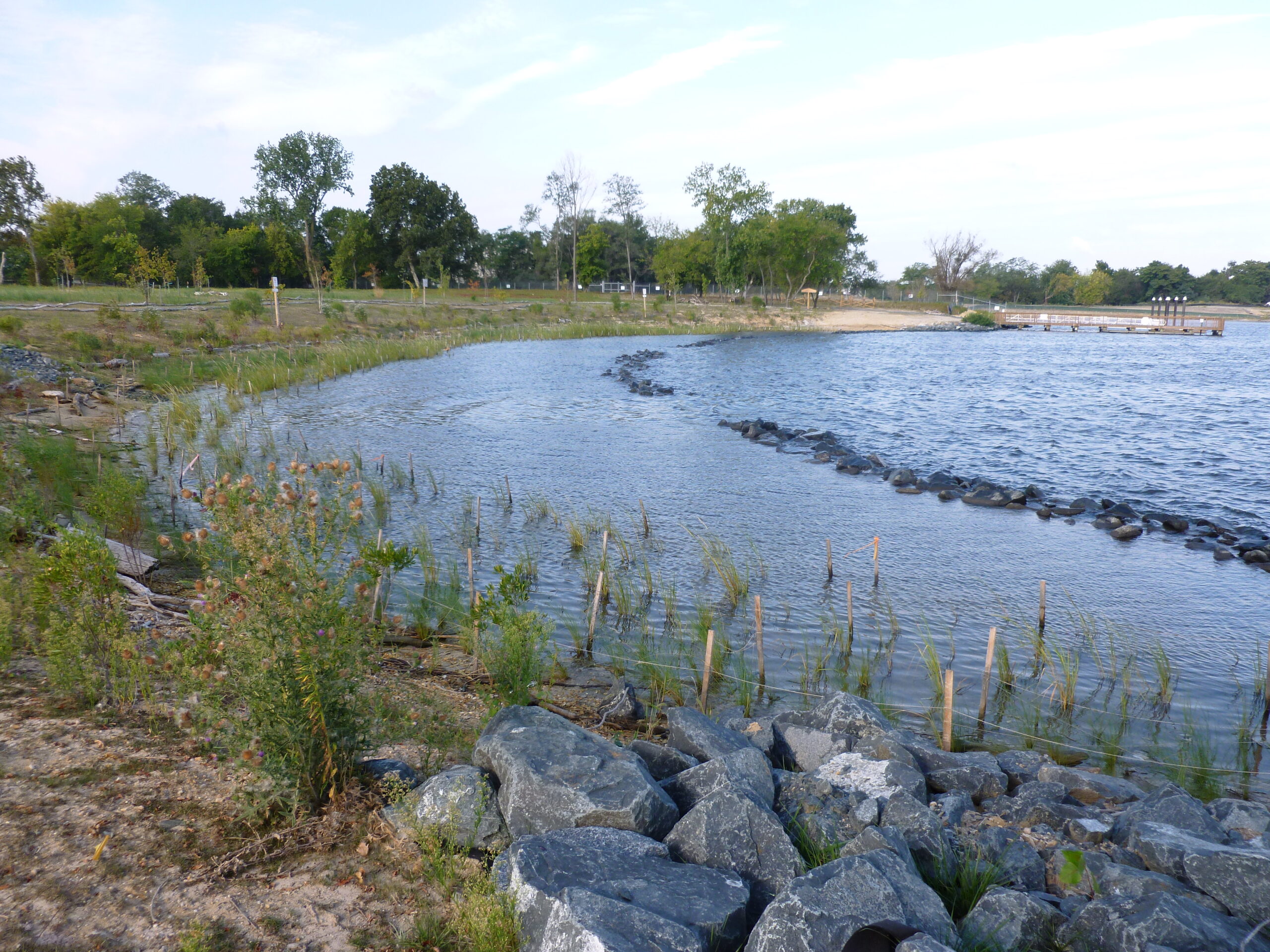 RFQ - Resiliency Implementation Partner for the Patapsco Resilience ...